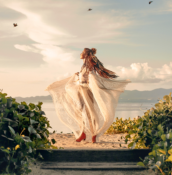 Free Luts | Free Lut Packs