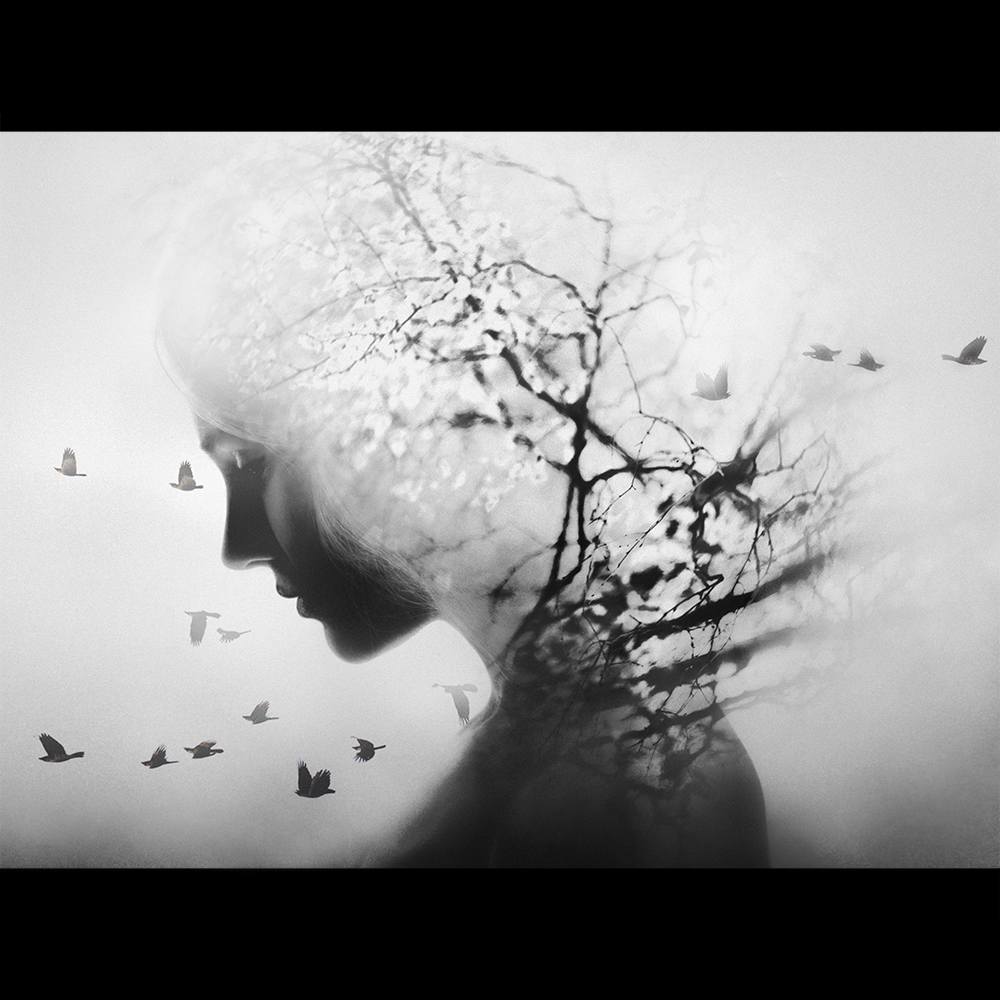 Image Manipulation Online Service | Make Creative Photo Manipulation Online