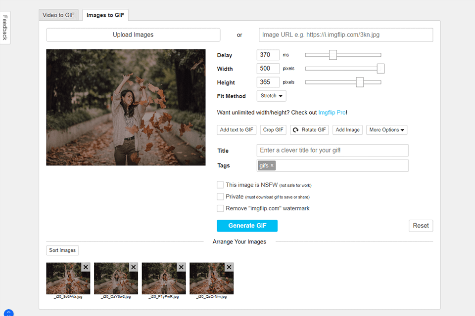 14 Best Free GIF Makers in 2025
