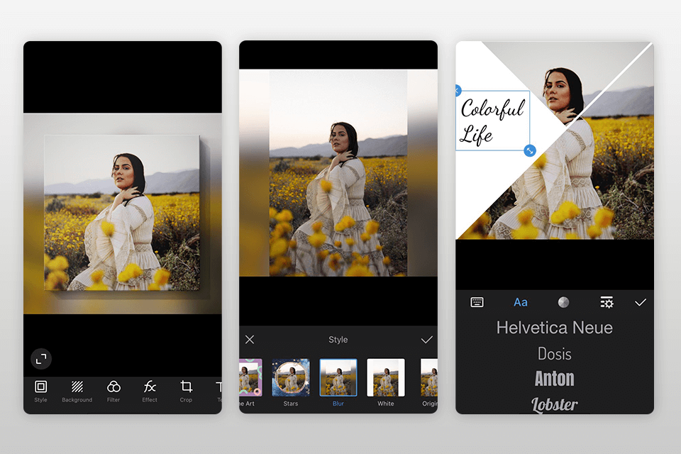 12 Best Software for Photo Borders in 2025