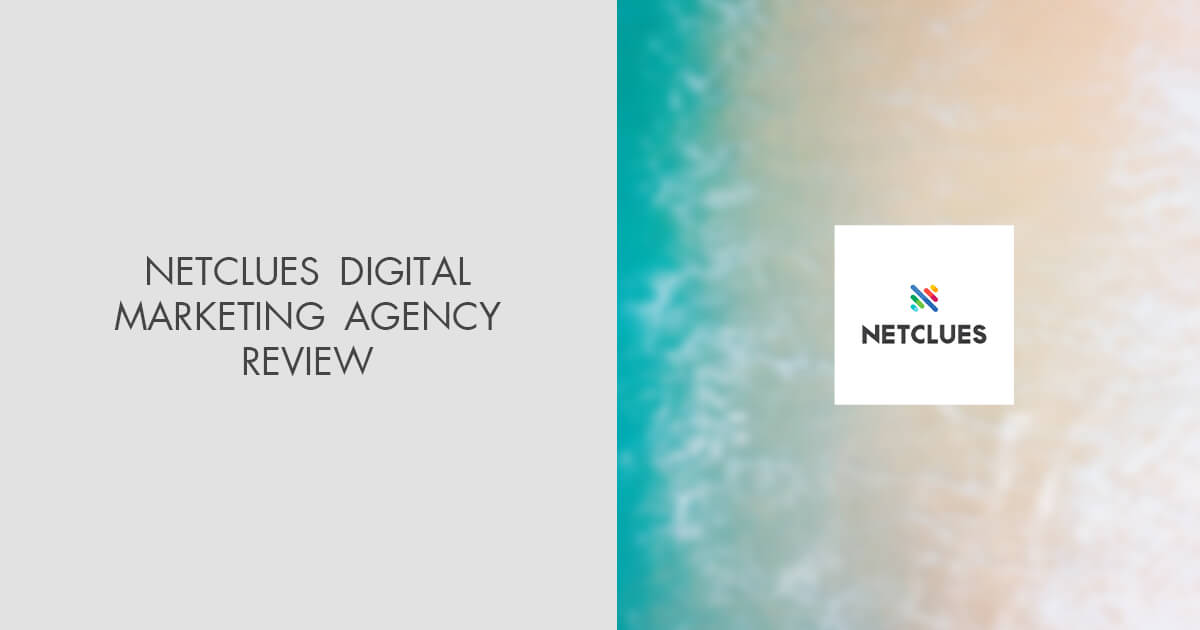 Netclues Web Development Agency Review