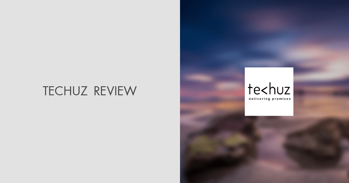 Techuz Web Development Company Review