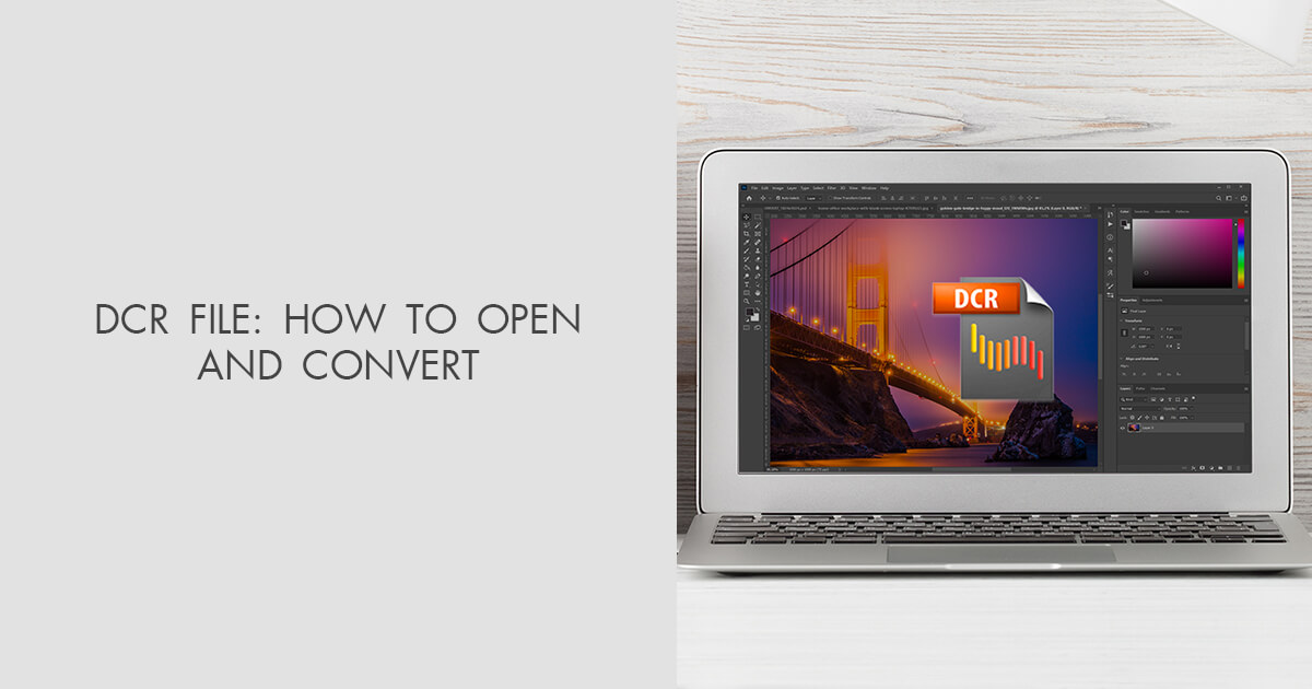 DCR File: How to Open and Convert?