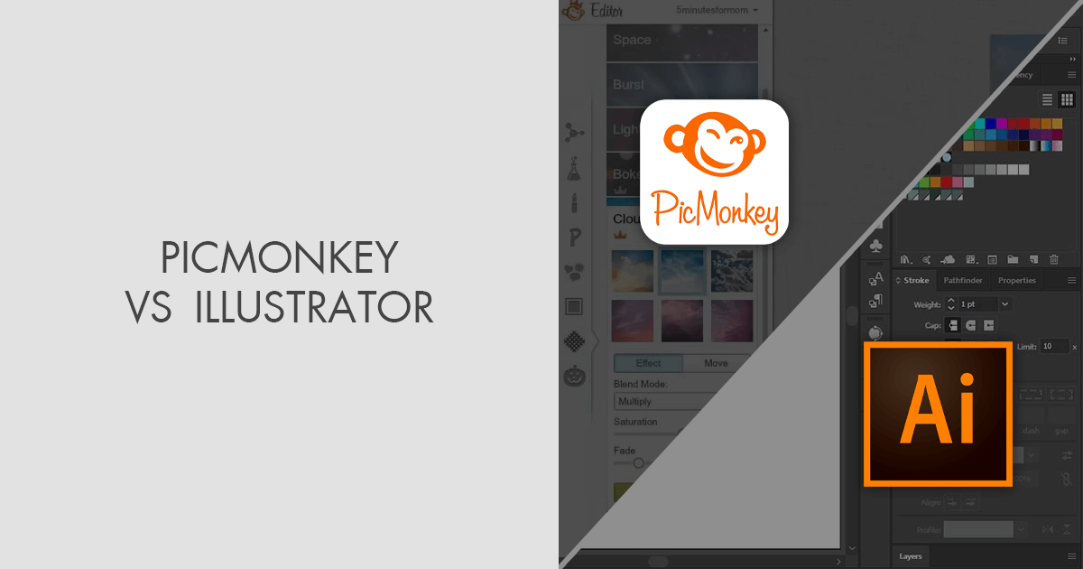 PicMonkey vs Illustrator: Which Software is Better?