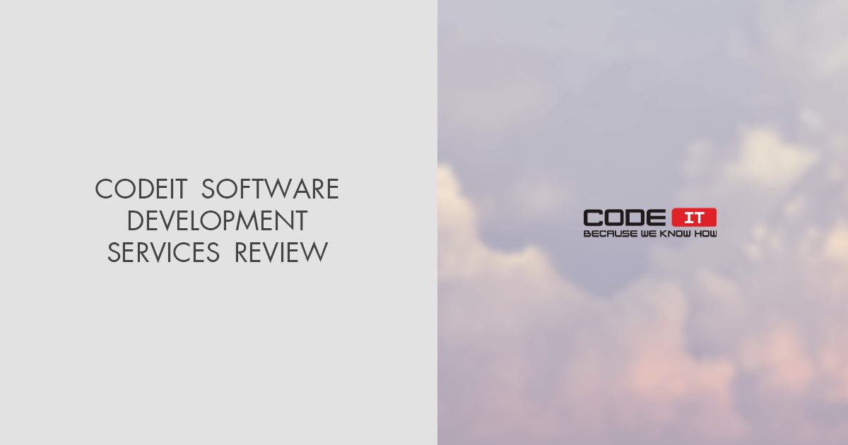CodeIT Software Development Services Review 2025