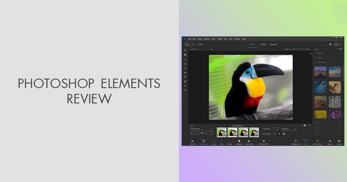 Photoshop Elements Review 2026