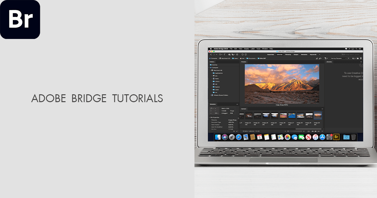 Adobe Bridge Tutorials for Beginning Photographers and Designers