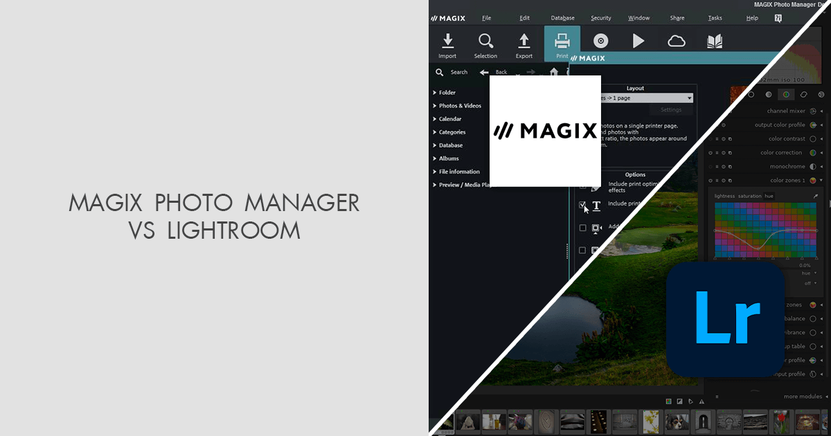 MAGIX Photo Manager vs Lightroom: What Program to Choose