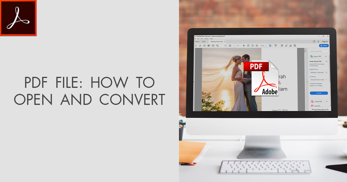 PDF File: Definition, How to Open and Convert?