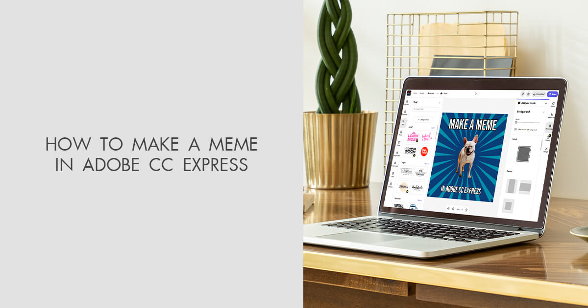 How to Make a Meme in Adobe Express: Simple Methods
