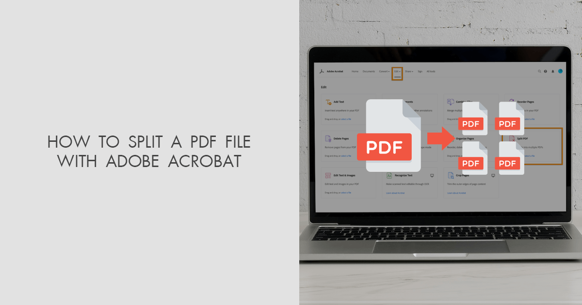 How to Split PDF File with Adobe Acrobat in 5 Steps