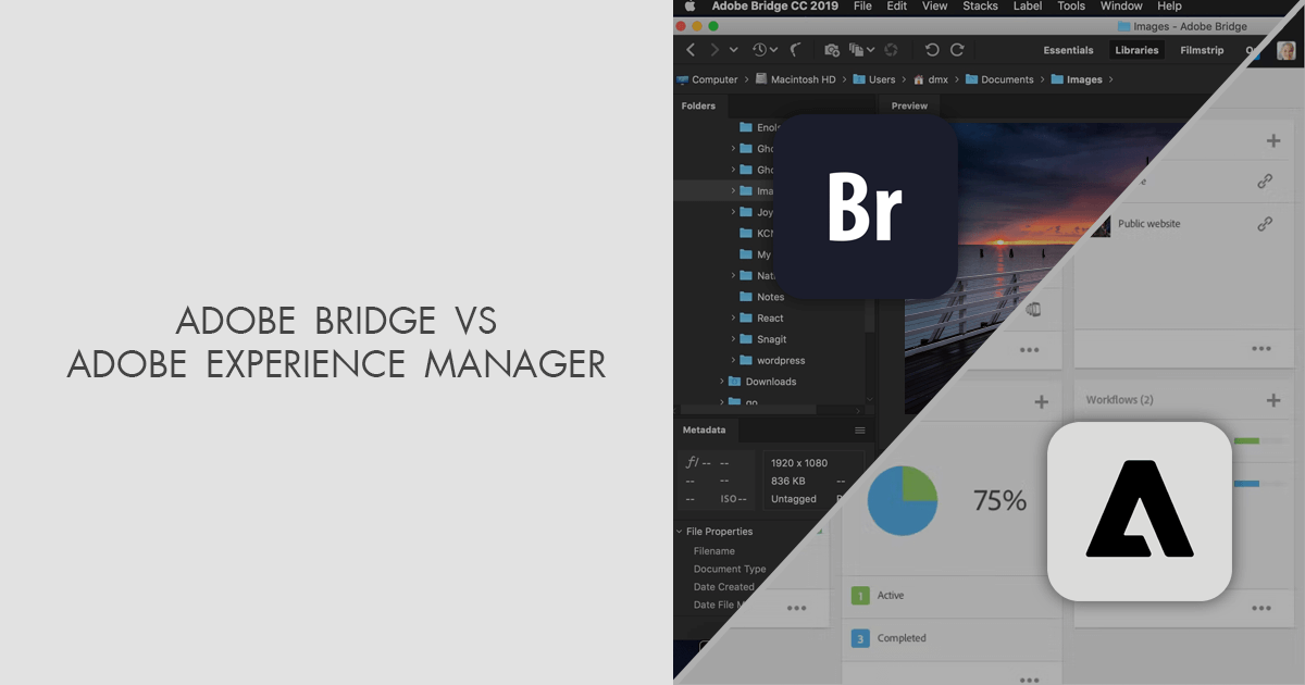 Adobe Bridge vs Adobe Experience Manager: Pros & Cons