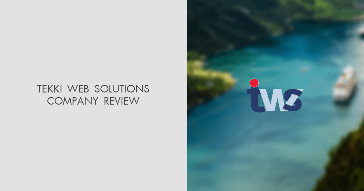 Tekki Web Solutions Company Review 2025