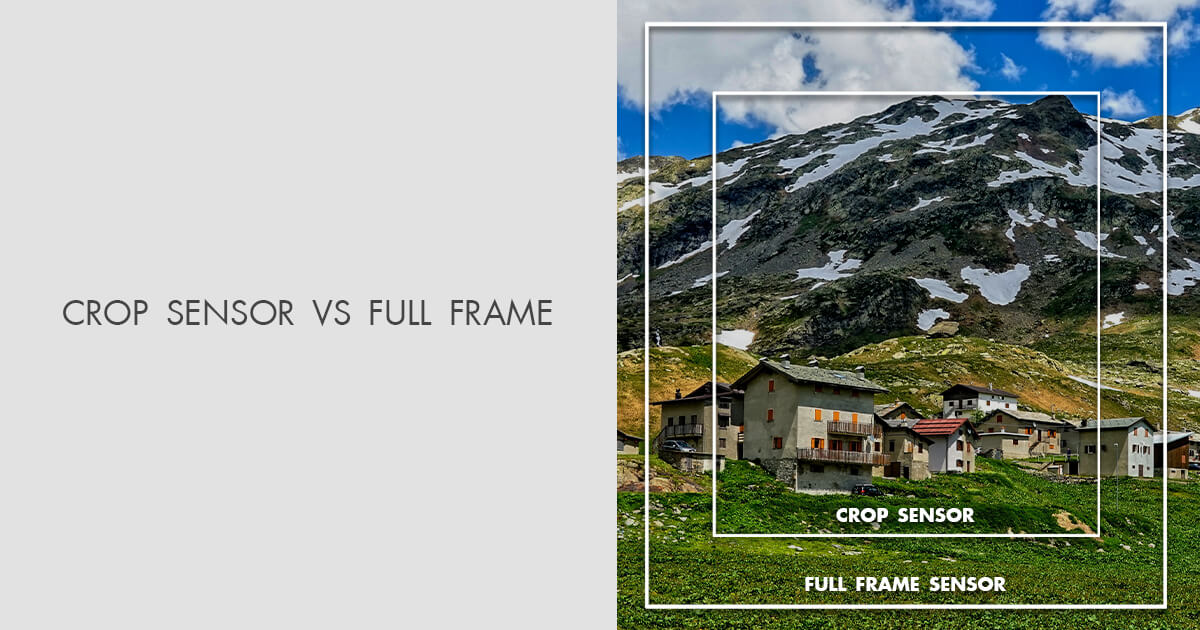 Crop Sensor vs Full Frame: Which is Better in 2025