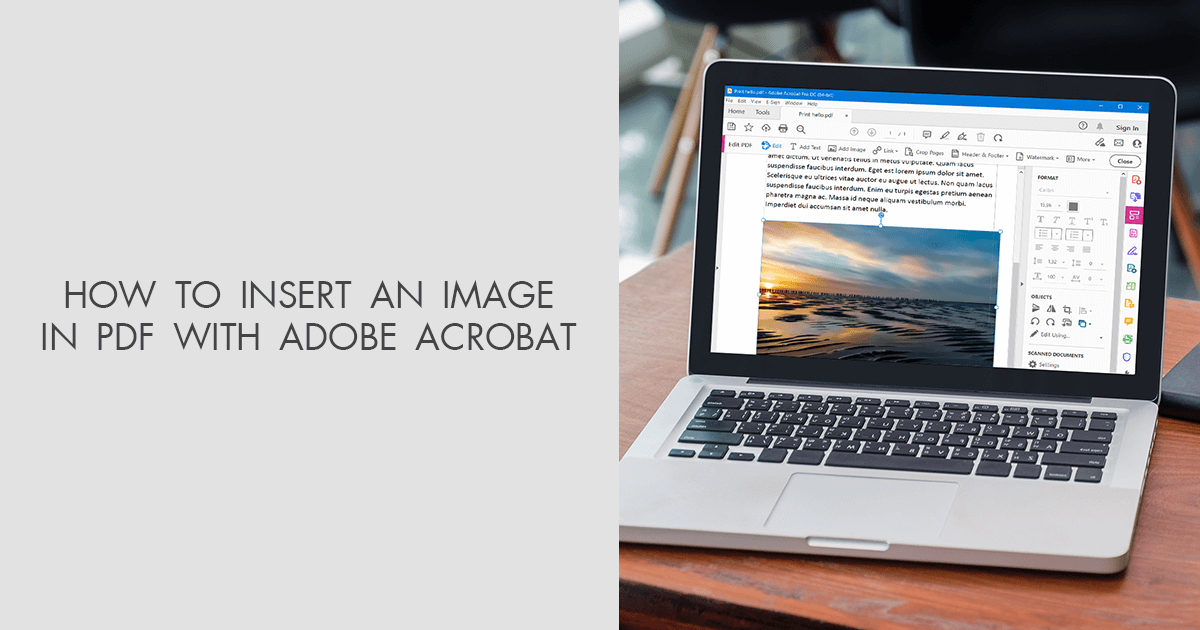 How to Insert an Image in PDF with Adobe Acrobat in 5 Steps