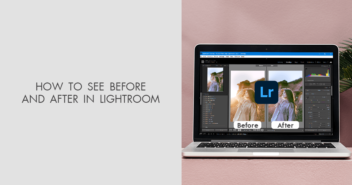 How to See Before and After in Lightroom and Lightroom Mobile