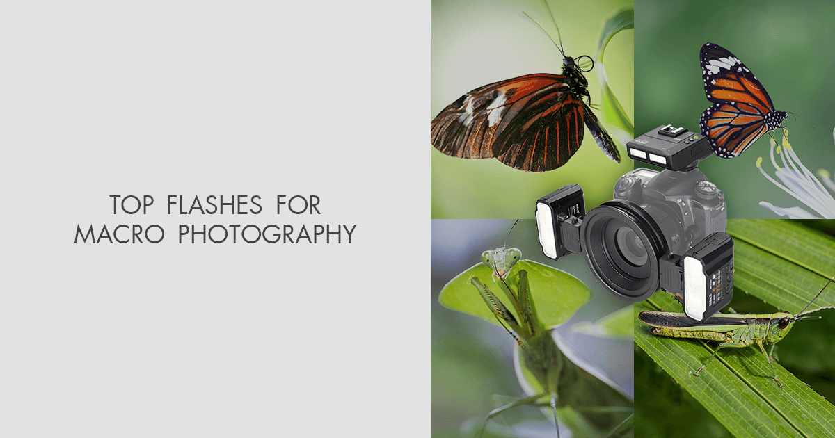 5 Best Flashes for Macro Photography to Buy in 2025