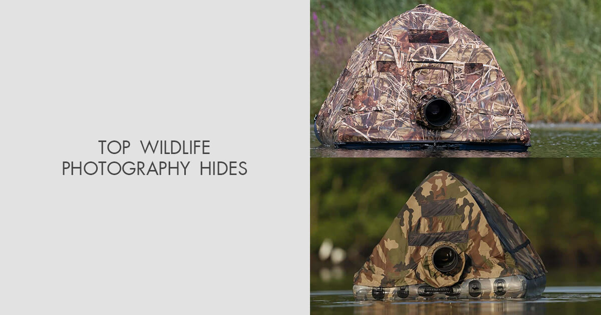 7 Best Wildlife Photography Hides to Use in 2025