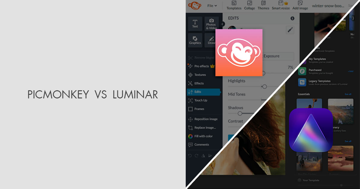 PicMonkey vs Luminar: Which Tool Is Better?