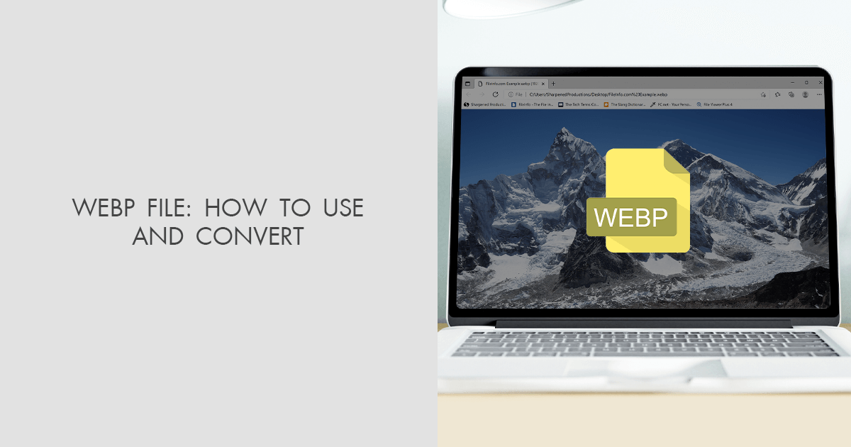 WebP File: What Is It and How to Open?