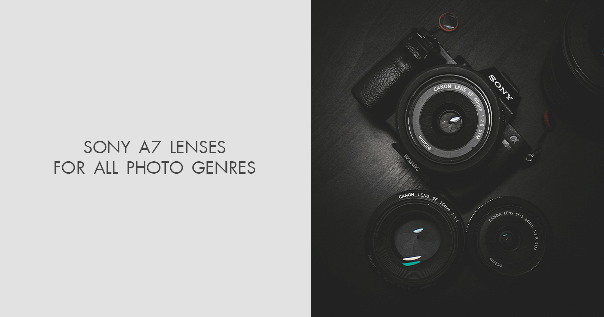 Best Sony A7 Lenses to Choose in 2025