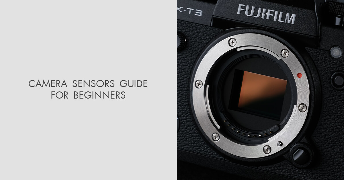 5 Best Camera Sensors Guide: Types & Options