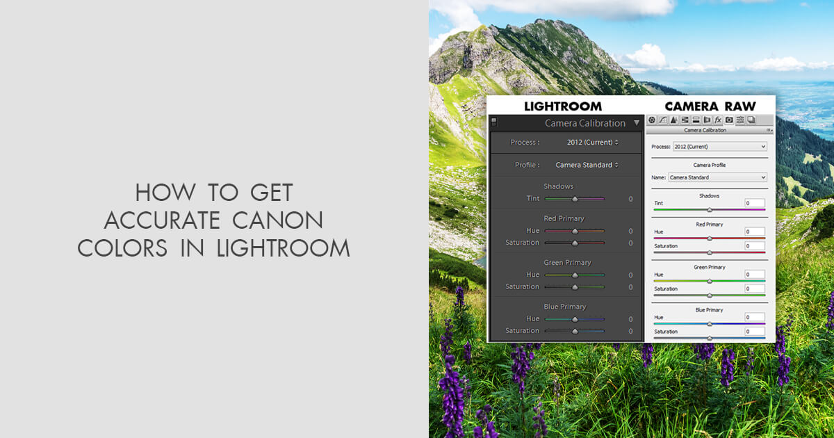 How to Get Accurate Canon Colors in Lightroom: Beginners Tutorial