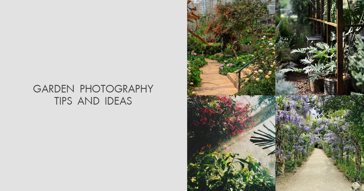 15 Garden Photography Ideas and Tips