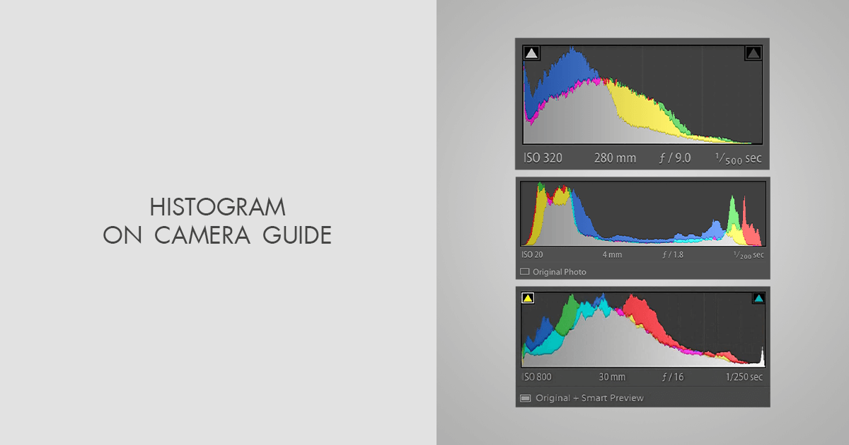 Histogram on Camera and How to Read It