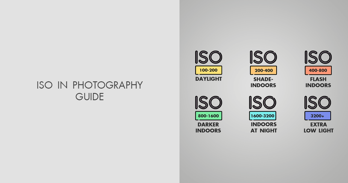 ISO in Photography: Guide for Beginners