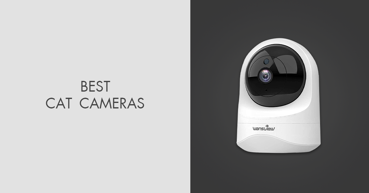 7 Best Cat Cameras in 2025