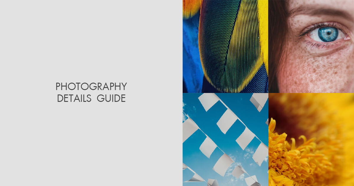How to Capture Photography Details: 8 Tips for Beginners