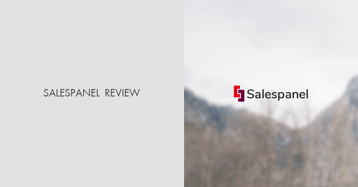 Salespanel Review 2025: Partnership Benefits