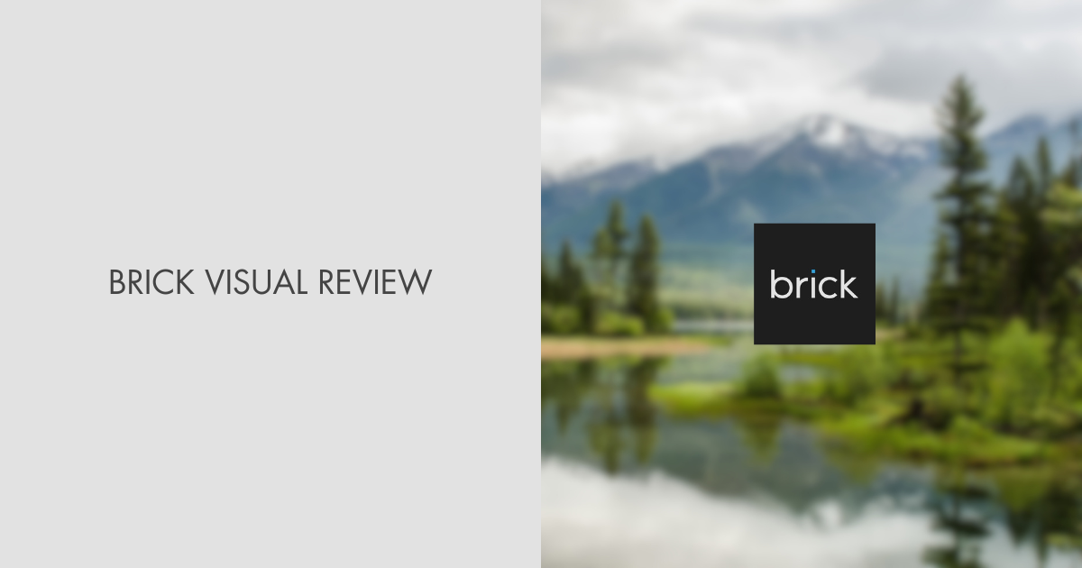 Brick Visual Review 2025: Pros & Cons