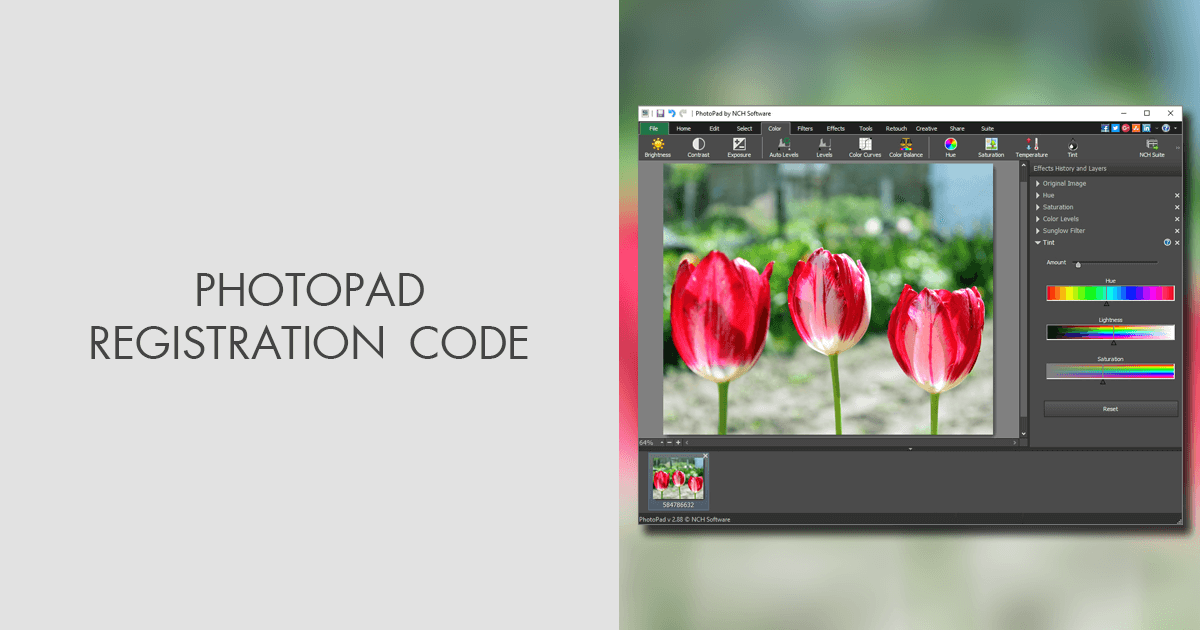 PhotoPad Registration Code 2025 Version [Free Download]