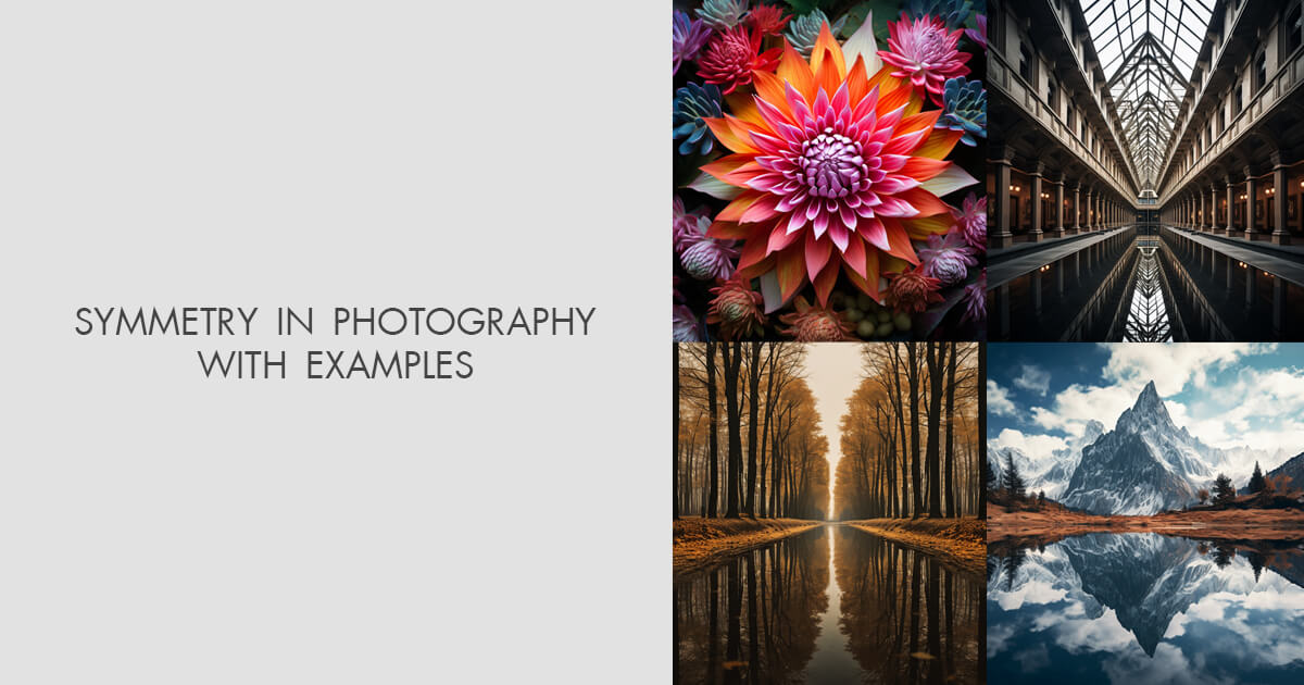 Using Symmetry in Photography with Examples