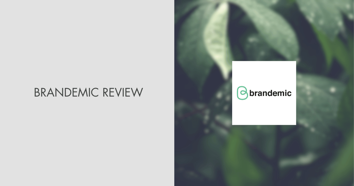 Brandemic Review 2025: Services & Options