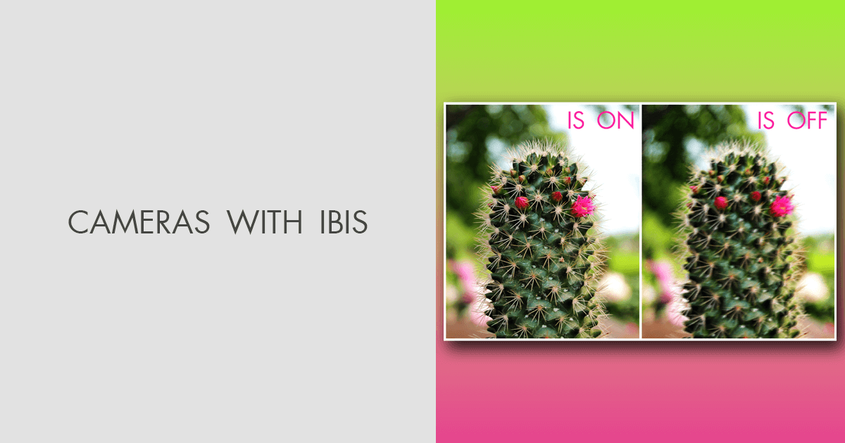 13 Best Cameras With IBIS To Say Goodbye to Shaky Photos