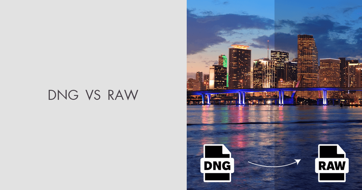 DNG vs RAW: What to Choose for Shooting and Storing?