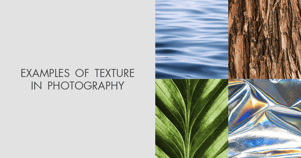 Examples of Texture in Photography: Settings & Tips