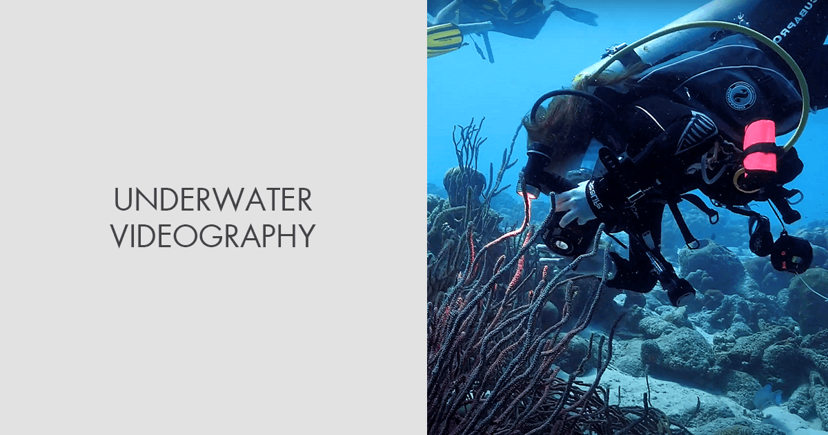 Underwater Videography: Getting Started Tips