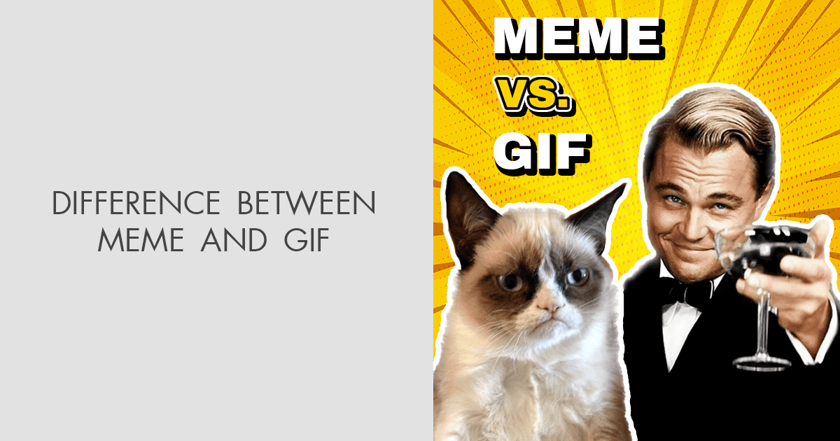 Meme vs GIF: Key Differences and Popular Misunderstandings