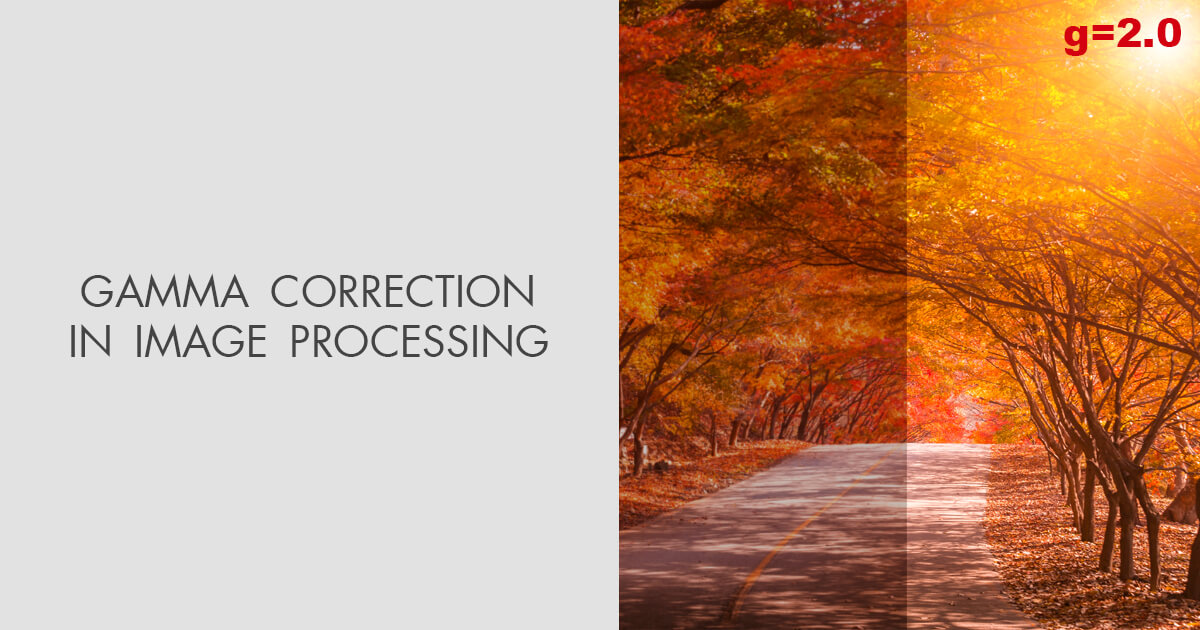 Gamma Correction in Image Processing: Simple Guide