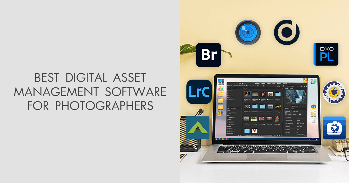 Best Digital Asset Management Software for Photographers in 2025