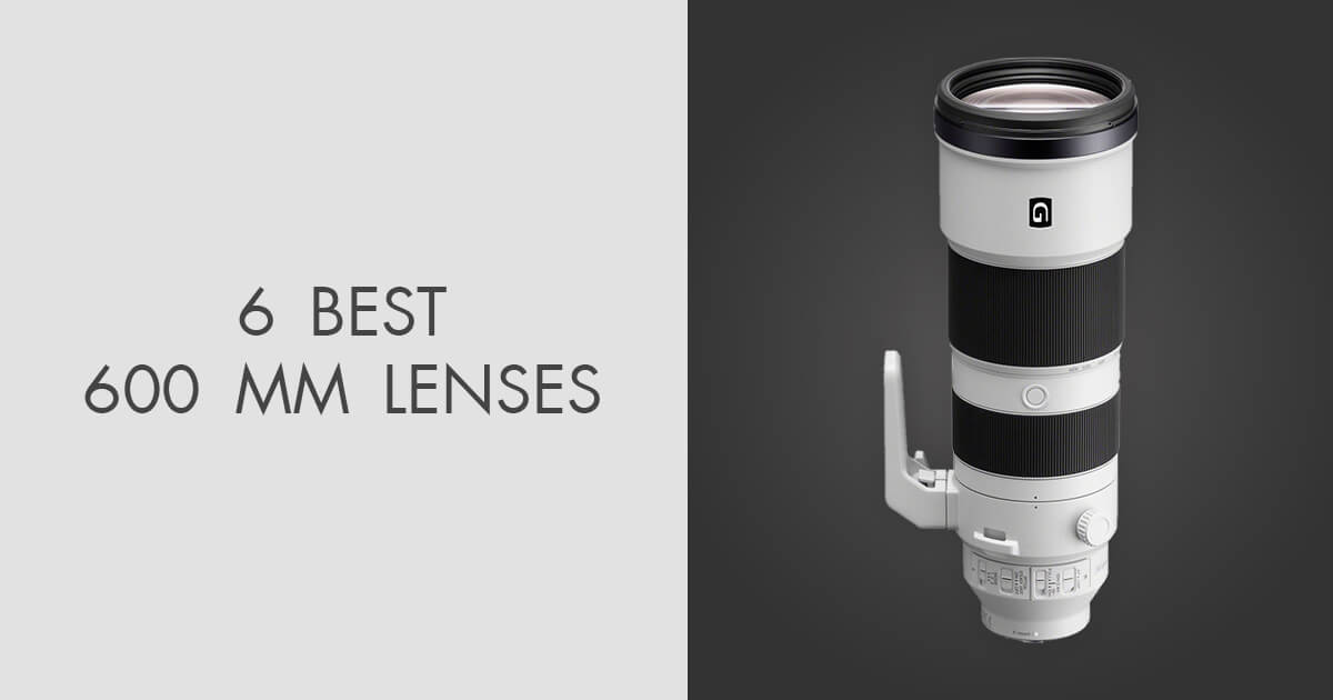 6 Best 600mm Lenses in 2025: Best Deals for Any Purpose