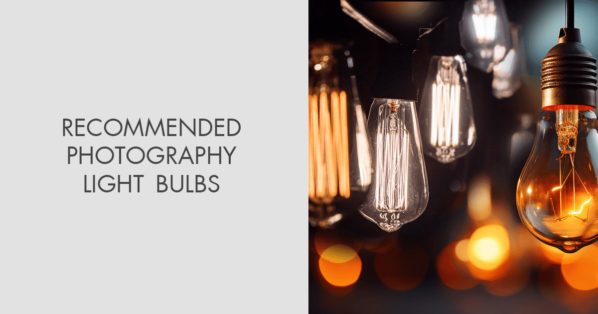 5 Photography Light Bulbs to Buy in 2026