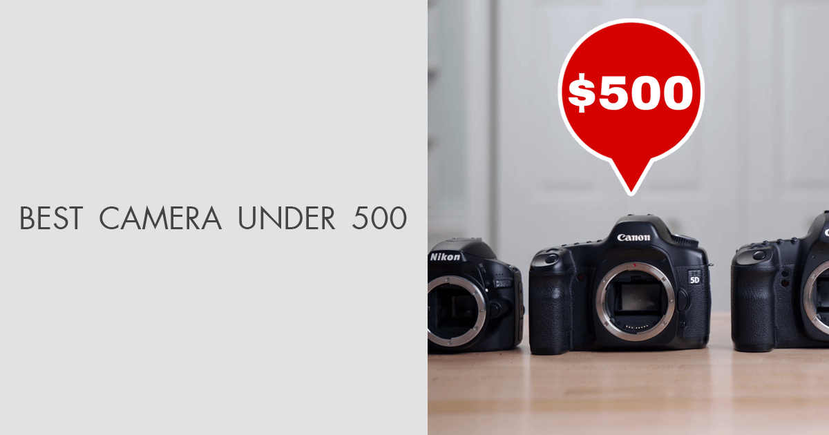 5 Best Cameras under $500: Great Value for Money
