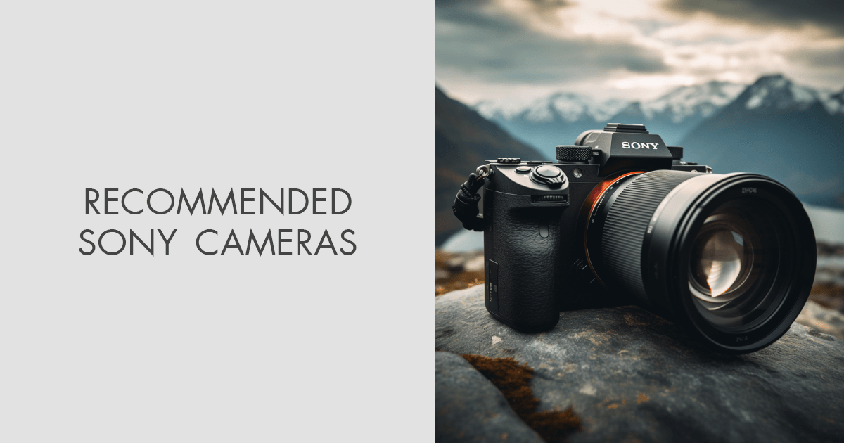 Recommended Sony Cameras: Top Picks for Stills & Video