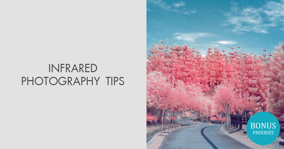 Infrared Photography Tips for Beginners