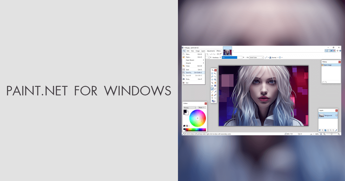 Paint.NET for Windows Download (2025 Latest)